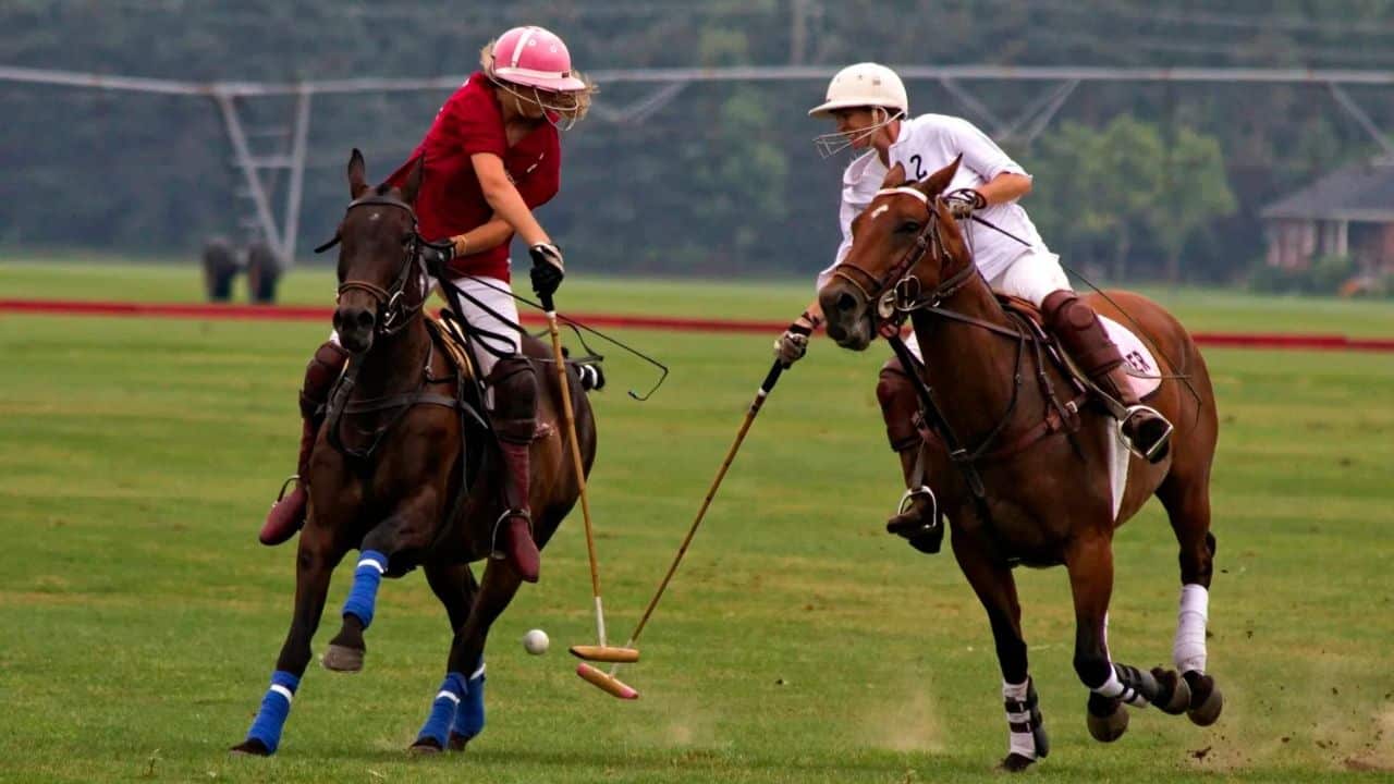 Polo: A 2,000-Year-Old Game Born from Tribes
